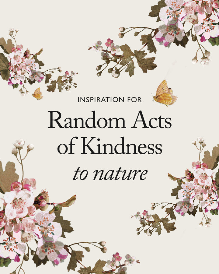 Inspiration For Random Acts of Kindness to Nature | Fable England